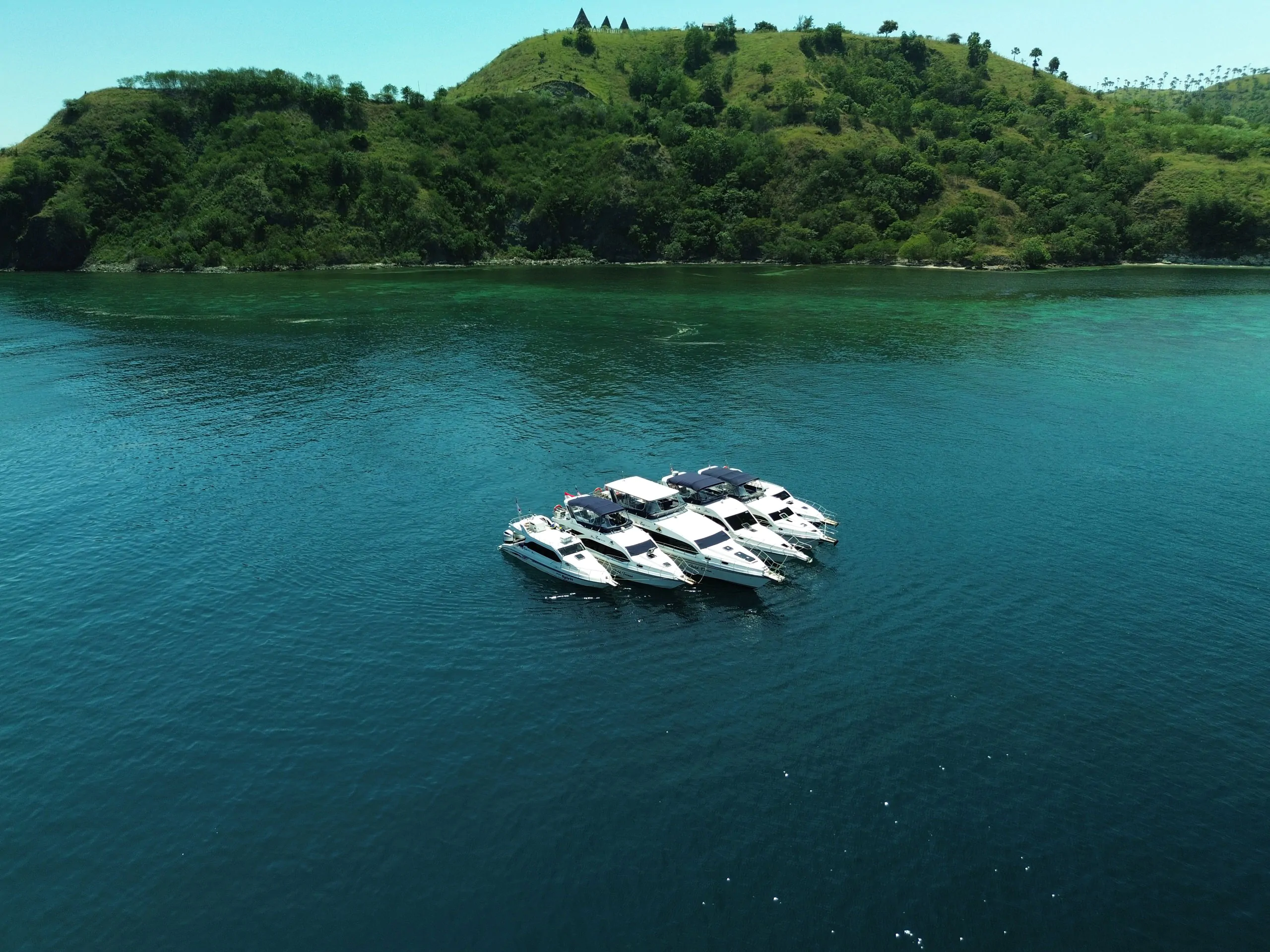 Fast Boat Komodo | Starfish indonesia